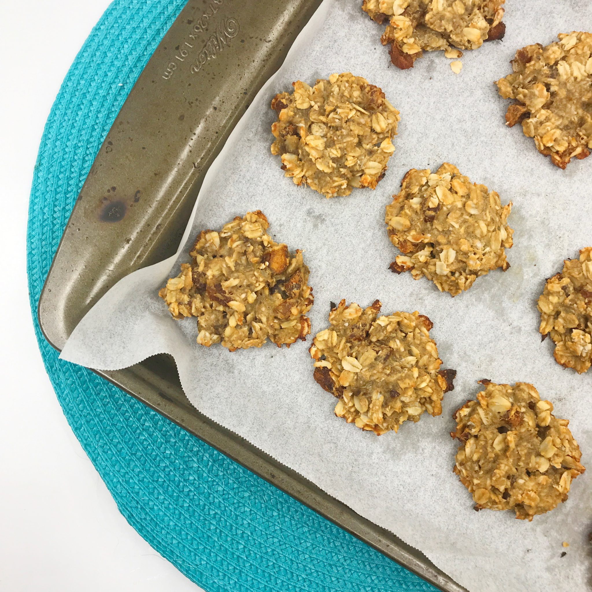 4 Ingredient Protein Powder Cookies - Danielle Binns (CNP, BA)