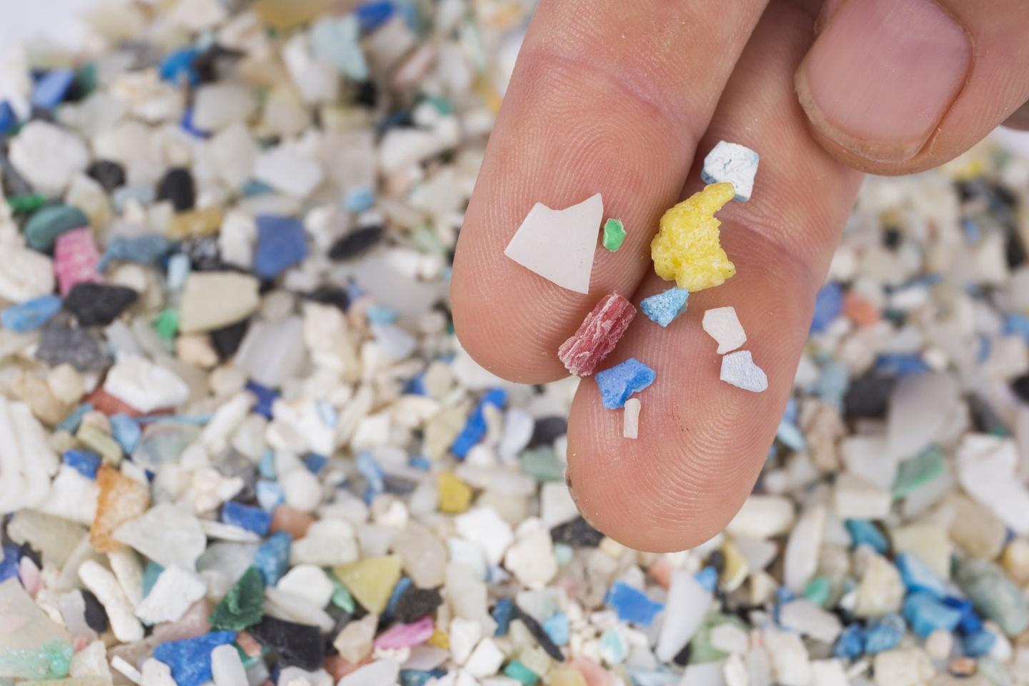 What you need to know about “microplastics” - Danielle Binns (CNP, BA)